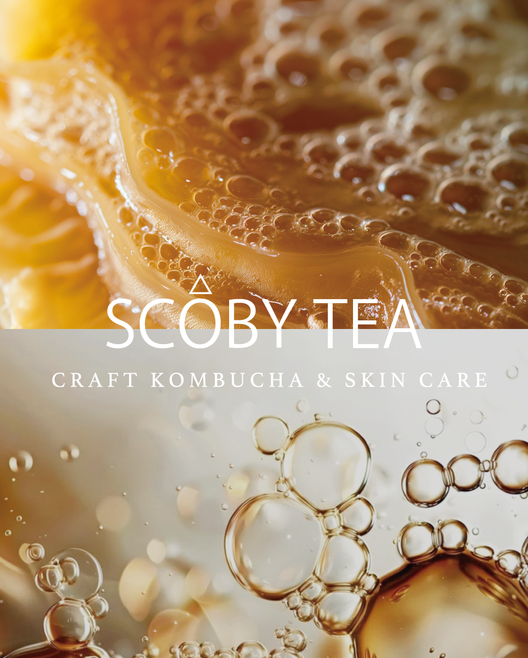 生コンブチャ専門店 | SCOBY TEA＜スコビーティー＞